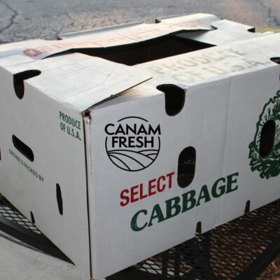 Fresh Cabbage Supplier and Producer | Canam Fresh