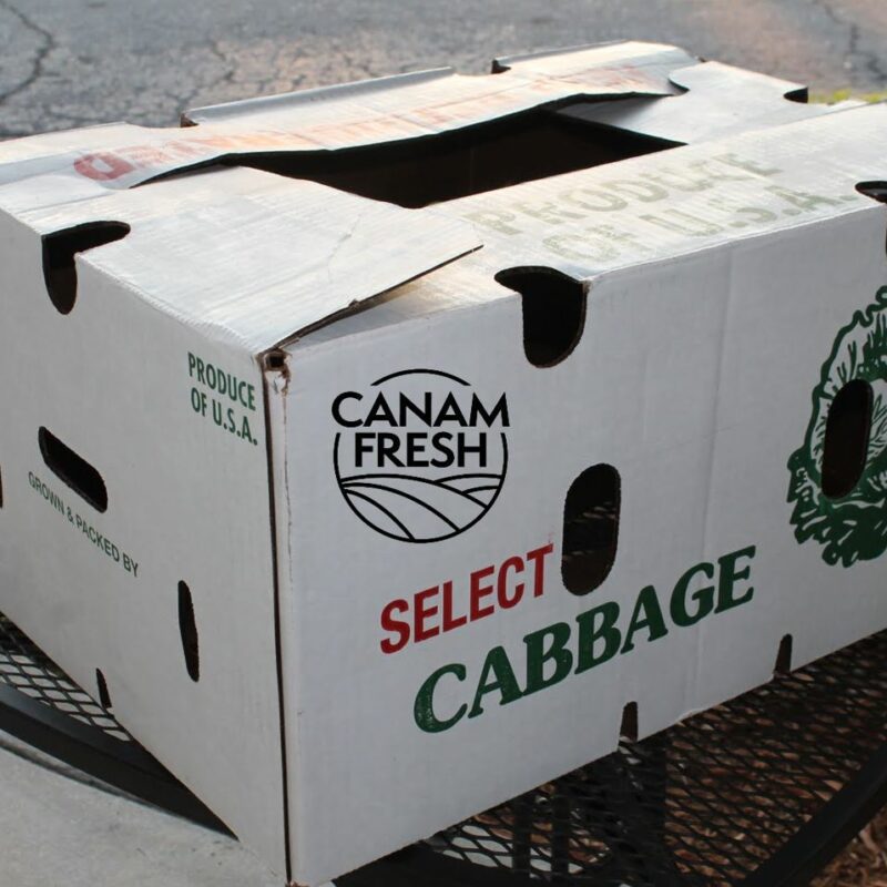 Fresh Cabbage Supplier and Producer | Canam Fresh