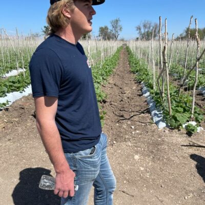 Fresh Cucumber Supplier and Producer | Canam Fresh