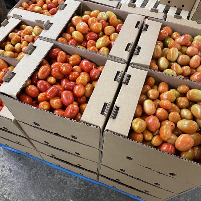 Fresh Tomato Supplier and Producer | Canam Fresh