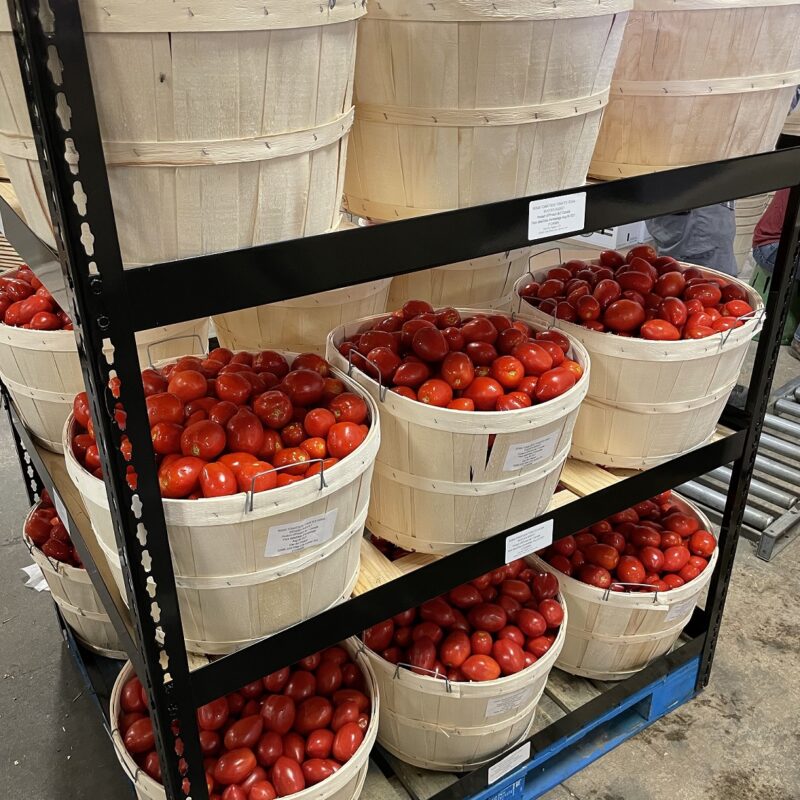 Fresh Tomato Supplier and Producer | Canam Fresh