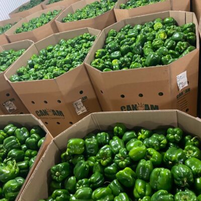 Fresh Pepper Supplier and Producer | Canam Fresh
