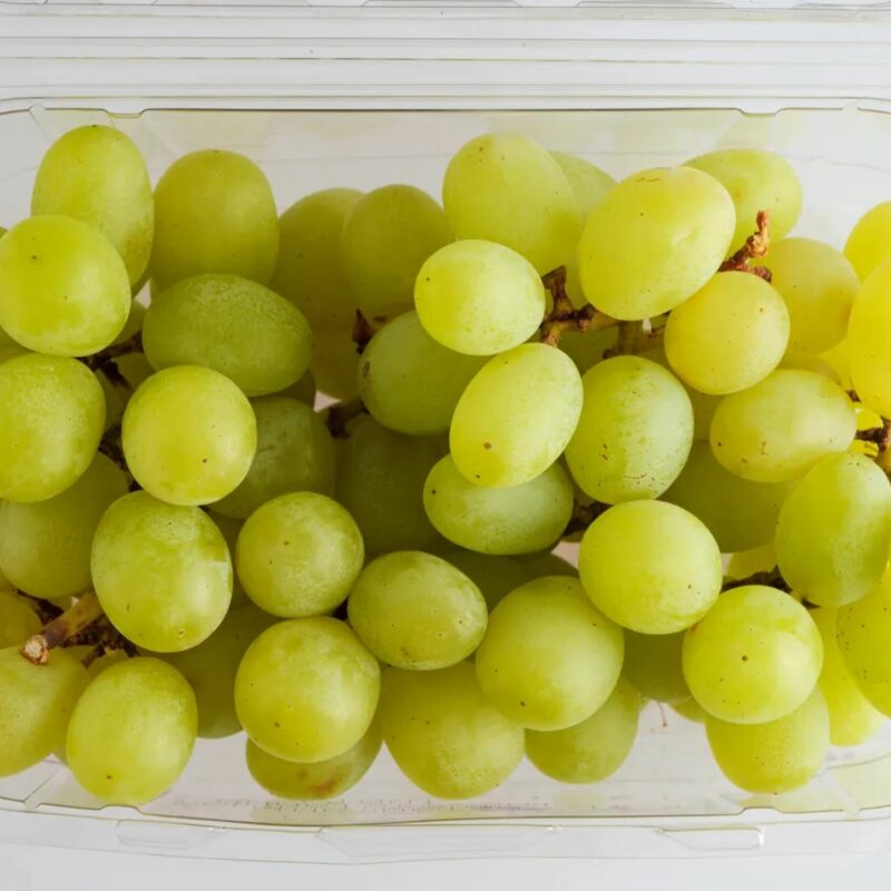 Fresh Grapes Supplier and Producer | Canam Fresh