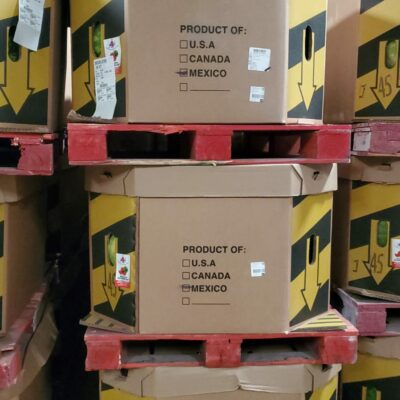 Fresh Watermelon Supplier and Producer | Canam Fresh