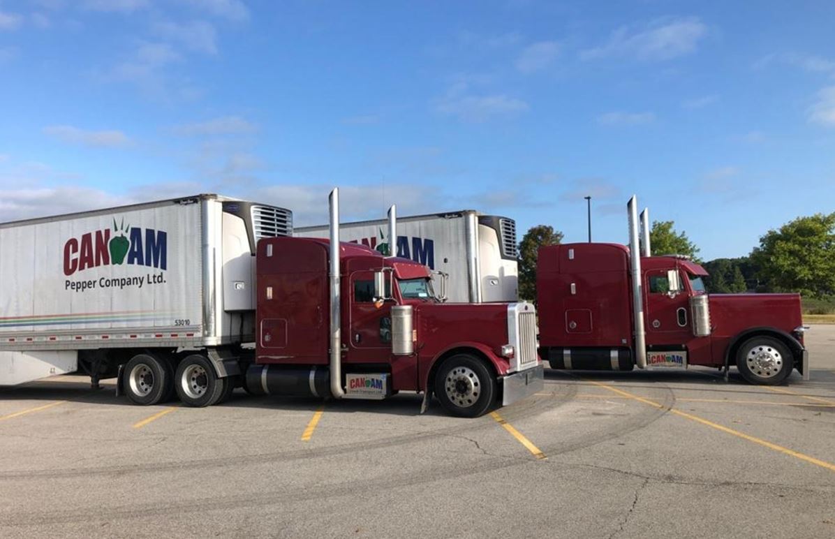 Canam Fresh - Fruits, Vegetables, Produce Supplier, Farm Products and ...